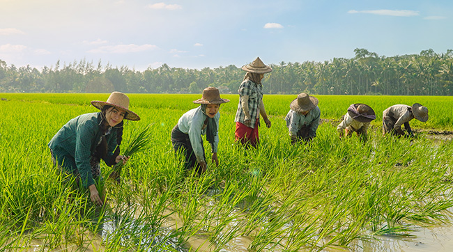 Farmer’s Life Insurance - GGI Insurance